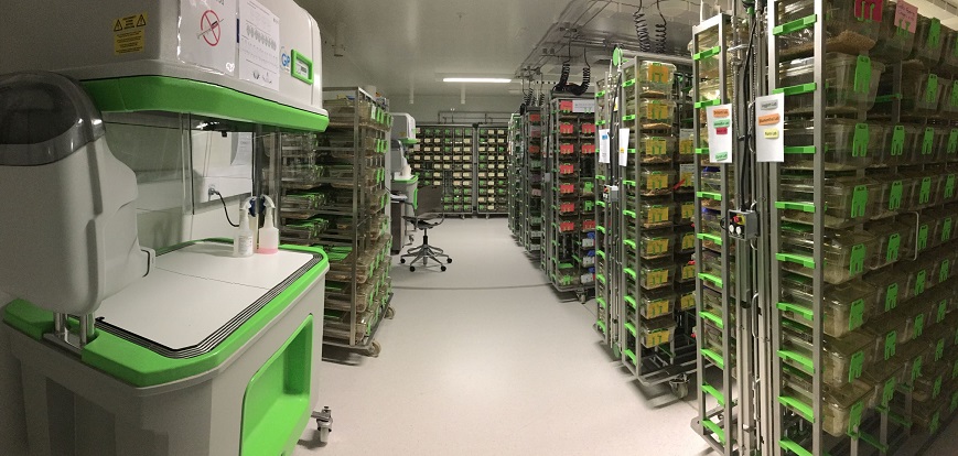 BR-TRI | Rodents - Biological Resources - University of Queensland